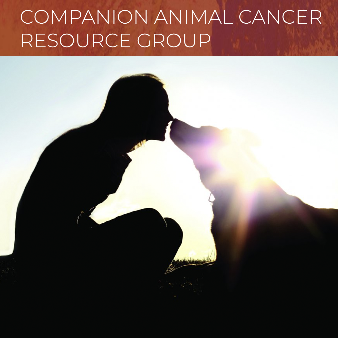 Companion Animal Cancer Resource Group - Czar's Promise